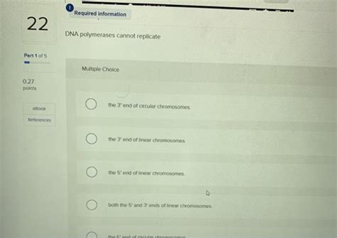 solved required information 22 dna polymerases cannot