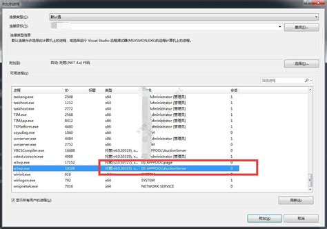 Vs2019 调试iis服务器代码 Cs开发框架cs框架网