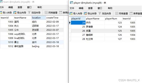 Mybatis中的关系映射 一对多 和多对多mybatis中mapper是怎么体现一对多和多对多的 Csdn博客