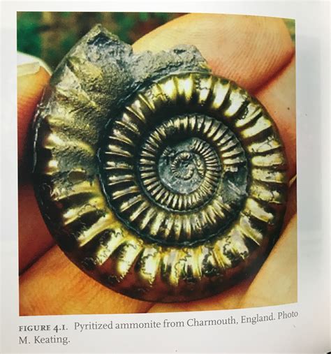 Pyrite Fool S Gold