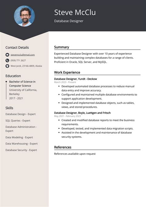 Database Designer Resume Example Free Guide