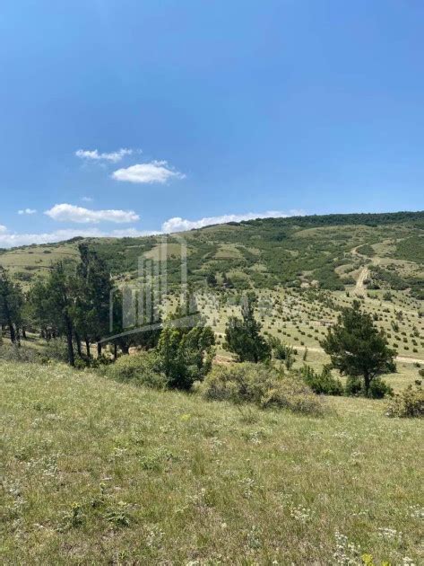 იყიდება მიწის ნაკვეთი ქოშიგორას ქუჩა დიღმის ჭალა საბურთალოს რაიონი თბილისი