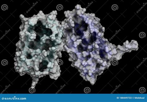 Interferon Beta Molecule Chemical Structure Cytokine Used To Treat Multiple Sclerosis Ms