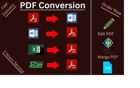 Convert Data From Pdf Word Etc Into Excel By Asimkhan1121 Fiverr