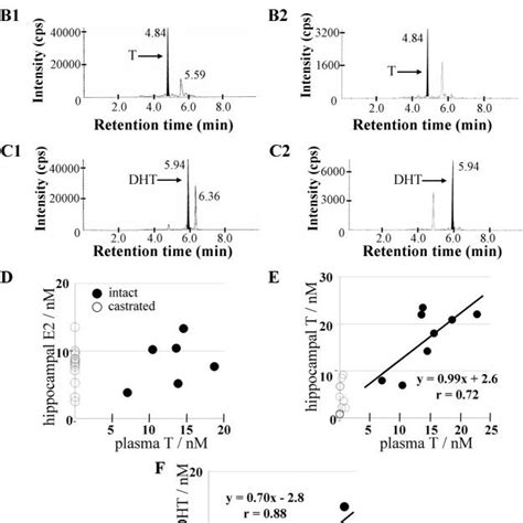 Normal Phase HPLC Analysis Of Steroid Metabolism In Hippocampal Slices Download Scientific