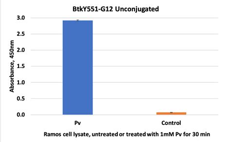 Phospho Btk Y551 Recombinant Mab Abwiz Bio