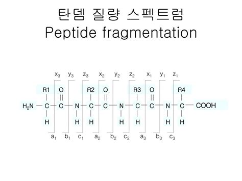 Ppt Proteomics 2d Gel Powerpoint Presentation Free Download Id 4649989