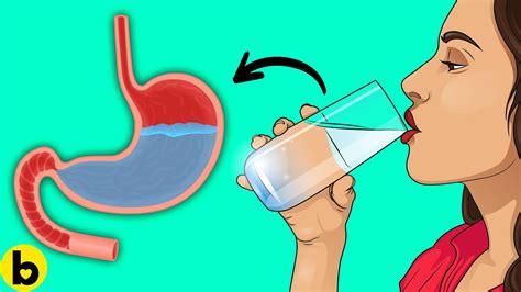 Drink Water On An Empty Stomach Immediately After Waking Up Home