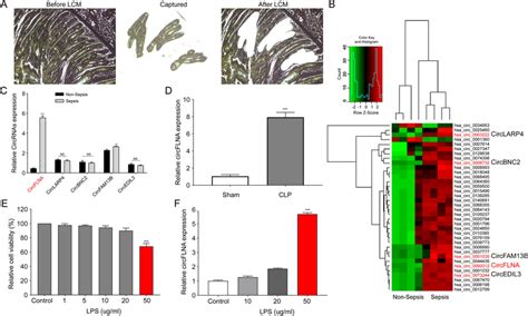 Circrna Expression Profiles In Intestinal Epithelium From Sepsis
