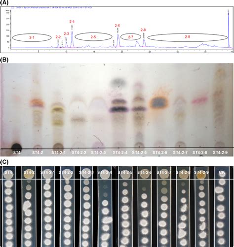 Analyses Of Hplc Tlc And Antimating Activity Of Fractions St4‐2‐1 To Download Scientific