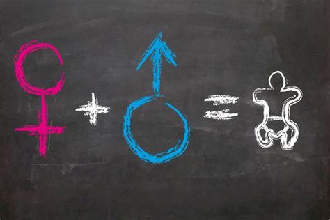 Curso online grátis de Educação Sexual