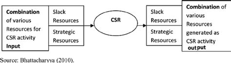 Csr Nature Of Resources Input And Output Download Scientific Diagram