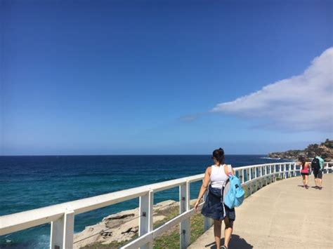 시드니 코스탈 워크sydney Coastal Walk 네이버 블로그