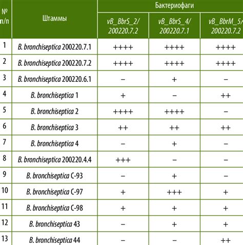 Lytic Spectrum Of Isolated Bacteriophages Active Against B Bronchiseptica Download Scientific