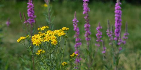 Developing A Syslog Ng Configuration Blog Syslog Ng Community