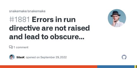 Errors In Run Directive Are Not Raised And Lead To Obscure Errors