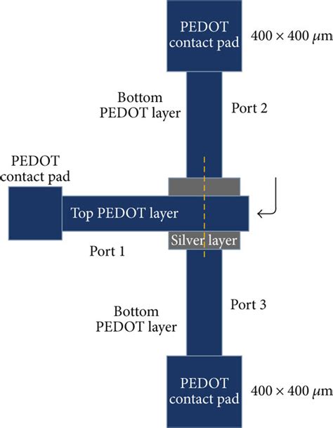 Schematic A Top View And B Cross Sectional View Of The Designed Download Scientific Diagram