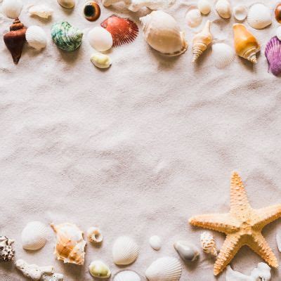 CISC 310 Spring 2025