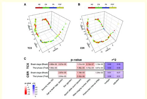 The Pseudo Temporal Trajectory For The Transcriptomes From Two Brain Download Scientific