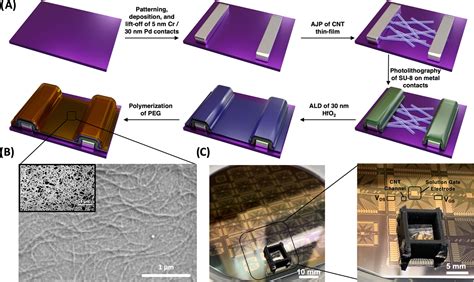 Passivation Strategies For Enhancing Solution Gated Carbon Nanotube Field Effect Transistor