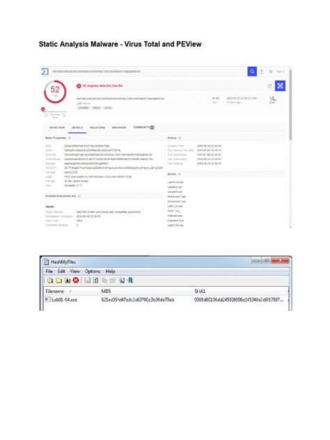 Static Analysis Malware Virus Total And Peview Pdf