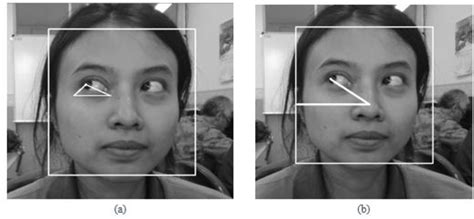 Figure 11 From Eyeball Movement Detection System Using Corner Triangle Similarity Naïve Bayes
