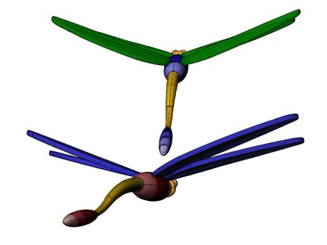 dragonfly character insect 3d modeling source 3d model cgtrader