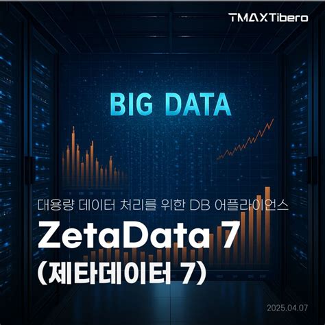 티맥스티베로 제타데이터 제타데이터7 티베로 Dbms 어플라이언스 Tmaxtibero Zetadata Tibero Database Appliance