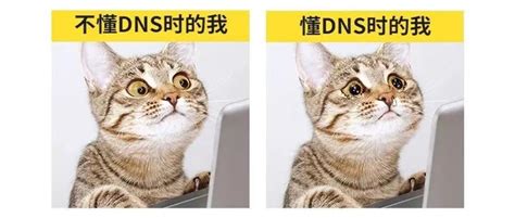 Dns解析过程原理！ 知乎