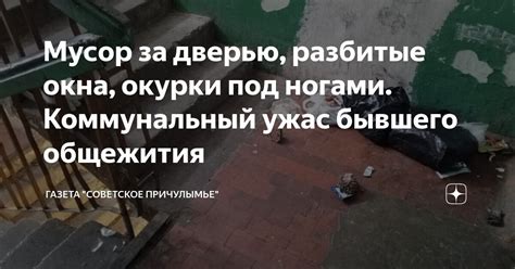 Мусор за дверью, разбитые окна, окурки под ногами. Коммунальный ужас ...