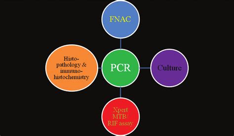 Diagnostic Methods Of Eptb Download Scientific Diagram