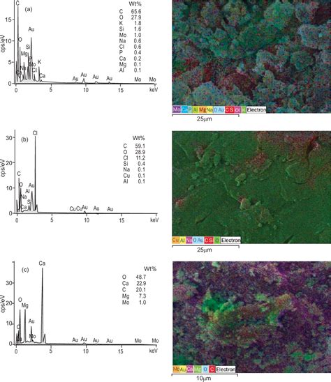 Figure 3 From Application Of Spectroscopic Techniques For Antioxidant Property Analysis Of