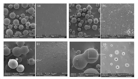 Surface Morphology Of Microcapsules Processed At Different Reaction Download Scientific Diagram