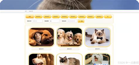 基于springboot宠物领养救助平台的设计与实现 Csdn博客