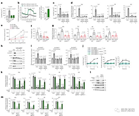 Nat Immu Cd40信号通过代谢重编程刺激巨噬细胞的抗肿瘤效应 知乎