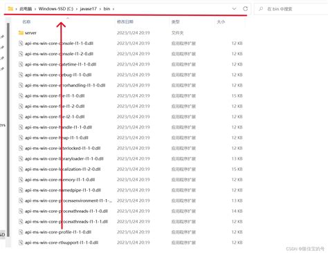 Java开发的环境配置启动jdk Csdn博客