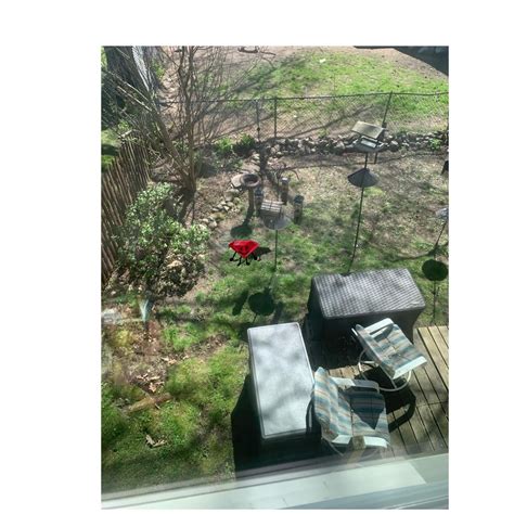 Ruby Keeps On Stalking Me R Battlefordreamisland