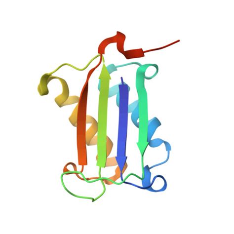 Rcsb Pdb 8vfw Crystal Structure Of V113n D Dopachrome Tautomerase D Dt