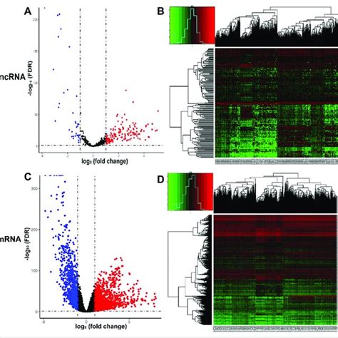 Identification Of Differentially Expressed Genes Between Long Noncoding