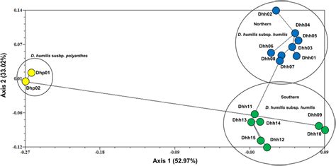 Principal Coordinates Analysis Pco Showing The Genetic Relationships