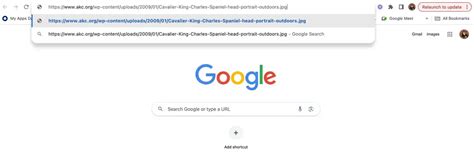 4 ways to get a url for an image