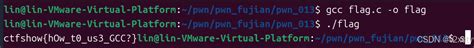 ctfshow pwn入门 前置基础pwn13 pwn19 ctfshow pwn csdn博客