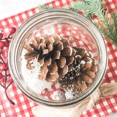 Christmas Potpourri Diffuser One Essential Community