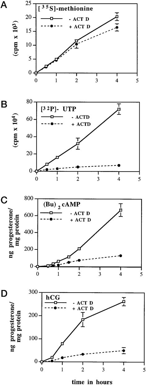 Actinomycin D Inhibits Hormonally Induced Progesterone Synthesis In