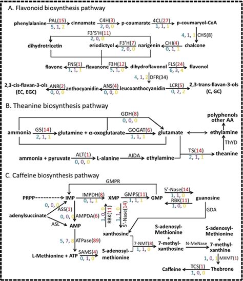 Unigenes And Differentially Expressed Genes DEGs Involved In