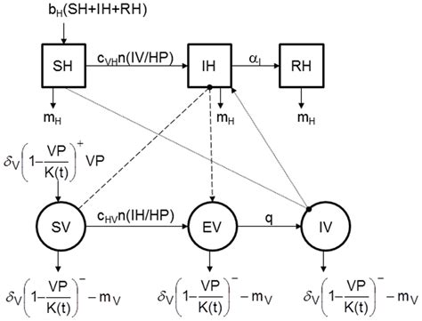 Conceptual Model Of The Spread Of A Vector Borne Pathogen During