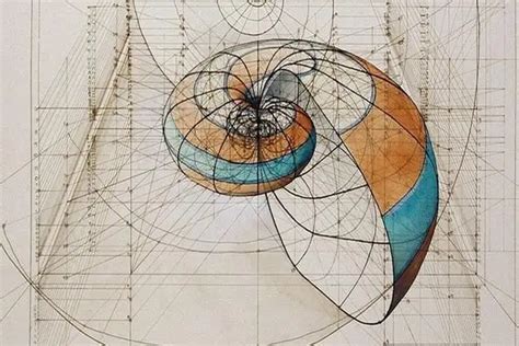 Ứng Dụng Dãy Fibonacci Trong Kiến Trúc Sức Hút Của Tỉ Lệ Vàng Nhà Đẹp Việt Nam
