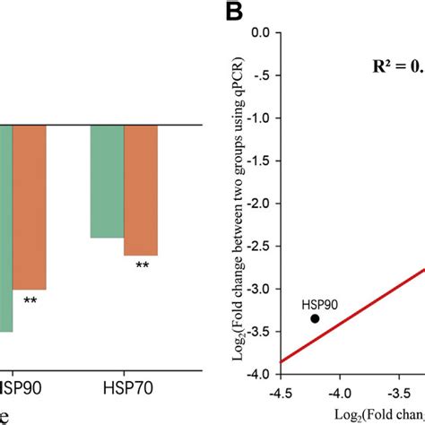 validation of genes expression patterns obtained by microarray and