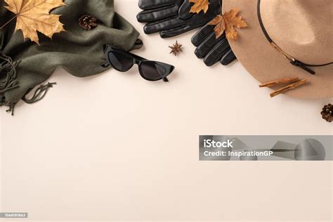 가을 테마의 의상 컨셉입니다 챙이 달린 펠트 모자 가죽 장갑 세련된 안경 세련된 스카프 나뭇잎 아니스 계피 흰색 배경에 솔방울 텍스트 또는 광고를 위한 빈 공간의 상단 보기
