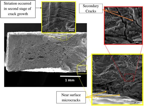 Typical Fatigue Fracture Surface Of The Hra Sample Download